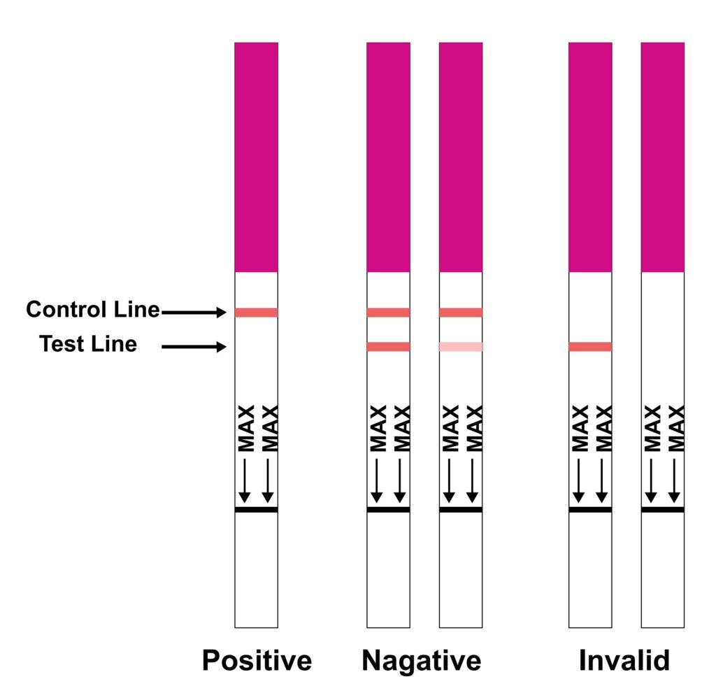 Fentanyl (FYL) Powder Test strip – Leading diagnostic testing service ...